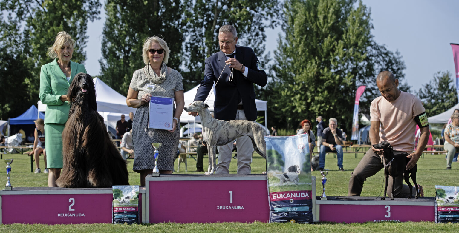 groep 10 podium – STICHTING HONDENTENTOONSTELLING ROTTERDAM