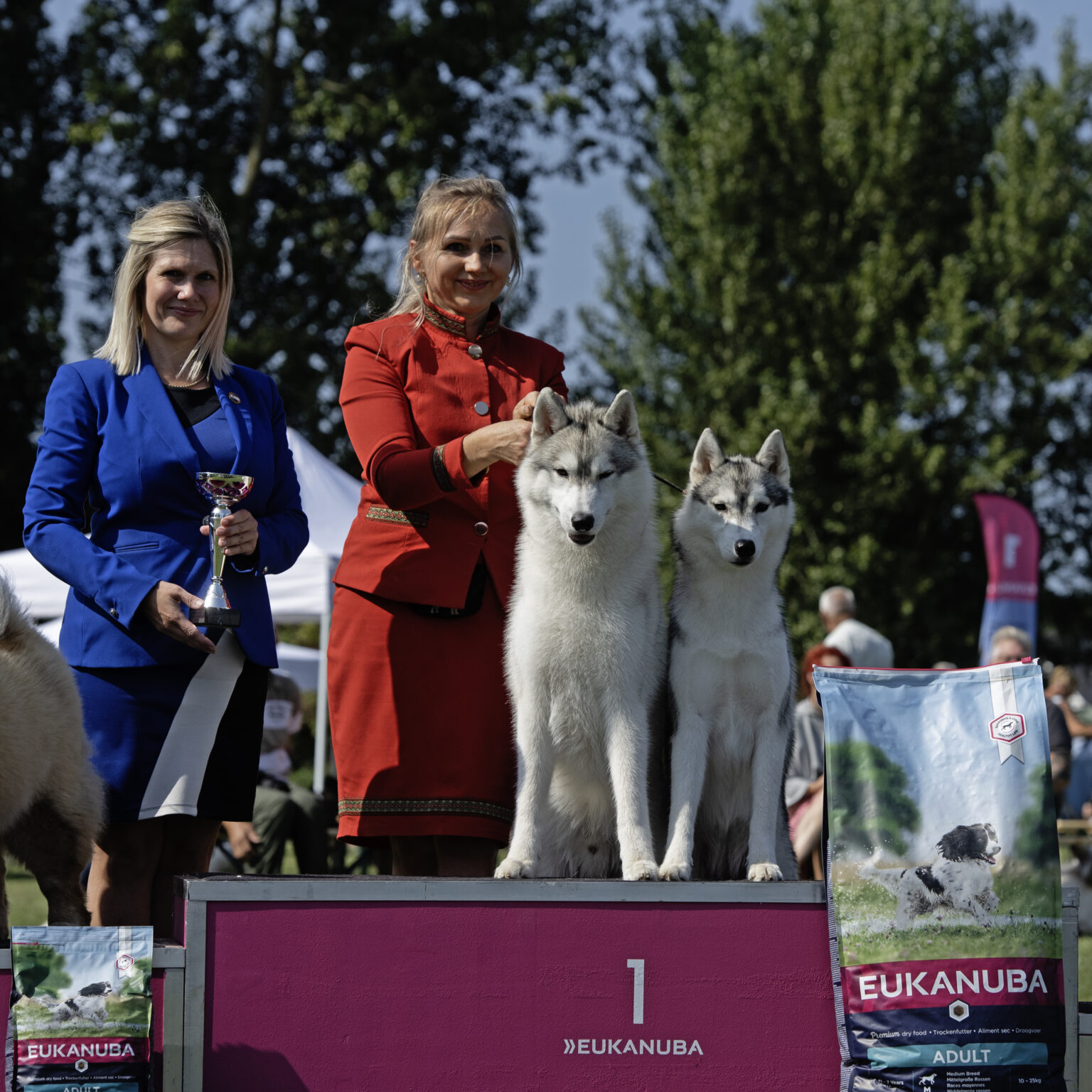 koppel 1 zaterdag – STICHTING HONDENTENTOONSTELLING ROTTERDAM